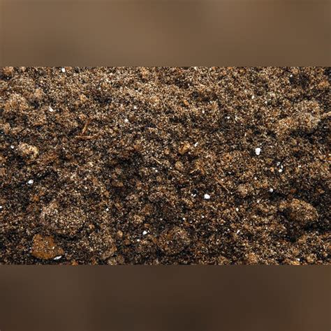 Test2 Object Detection Dataset By Compo