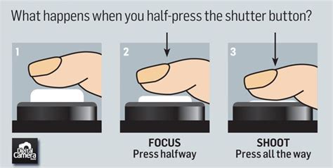 Focus Modes What Happens When You Half Press The Shutter Button Dslr Photography