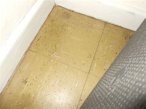 Asbestos Flooring Gallery Acorn Analytical Services