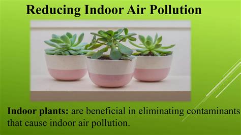 Pollution Presentaionpptx