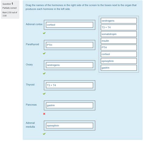 Drag And Drop Matching Question Type Moodledocs