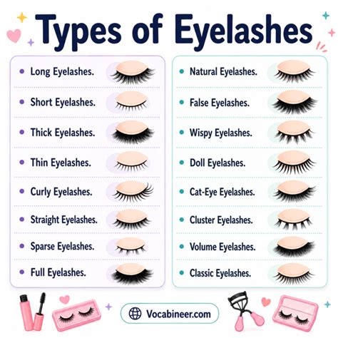 Types Of Eyelashes 25 Lash Styles With Pictures