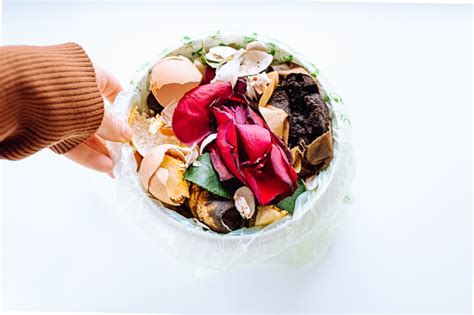 가정 쓰레기 분류 유기 폐기물 재활용 토양 비옥도 개선을위한 퇴비화 가정 생활에 대한 스톡 사진 및 기타 이미지 가정 생활 가정 주방 가정의 방 Istock