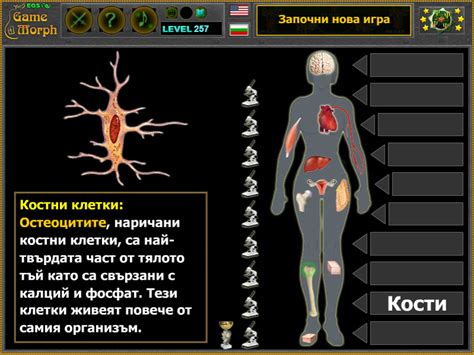Видове Клетки в Тялото Забавна Образователна Игра