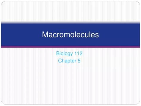 Ppt Macromolecules Powerpoint Presentation Free Download Id 1162656