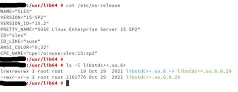 sybase issue segmentation fault during suse os up sap community