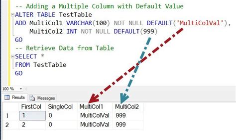 Sql Server How To Add Multiple New Columns To Table With Default Values Sql Authority With