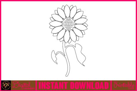 Sunflower Line Art Flower Svg Elements 2 Graphic By Best Design Bundle