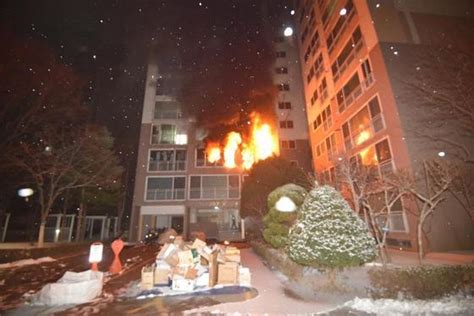 성탄절 새벽 도봉구 아파트 화재2명 사망 주민 30명 부상