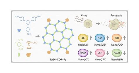 A Multifunctional Covalent Organic Framework Nanozyme For Promoting Ferroptotic Radiotherapy