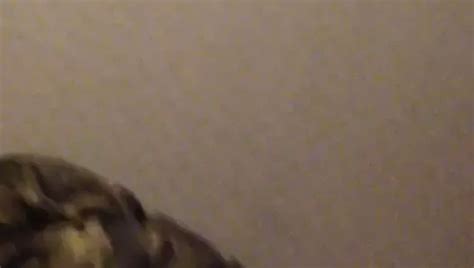 Free Golden Shower Porn Videos Xhamster