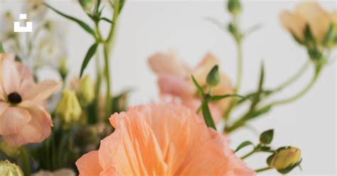 분홍색과 노란색 꽃으로 가득 찬 꽃병 사진 Unsplash의 무료 꽃꽂이 이미지