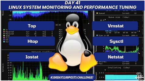 Pritesh Kumar On Linkedin 100days100posts Top Htop Iostat Vmstat Sysctl Netstat