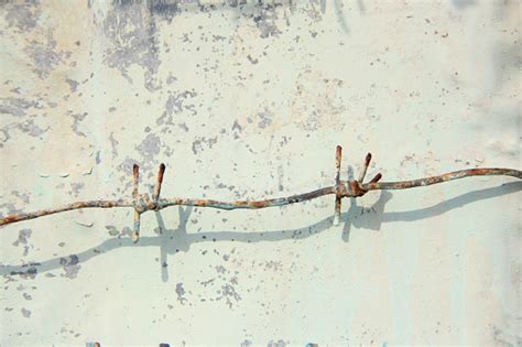 철조망 조각 버려진 장소의 개념 작은 균열이있는 밝은 회색 색상의 오래된 콘크리트 벽의 배경 사람이없는 철조망 배경 철조망으로 버려진 장소 0명에 대한 스톡 사진 및 기타