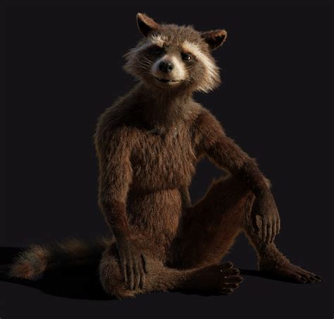 Rocket Relaxing By Rockyrcoon2 On Deviantart