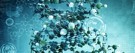 Human Topoisomerases Drug And Dna Repair Kits Contract Research