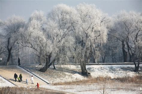 哈尔滨有哪些景点图片 哈尔滨有哪些旅游景点 随意云