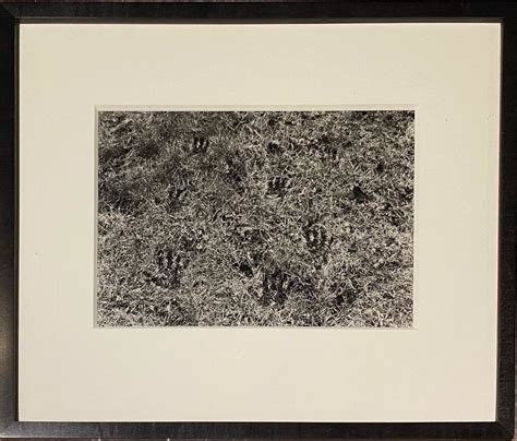 Ana Mendieta Untitled Silueta Series 1977 1978 Coleccion Balanz