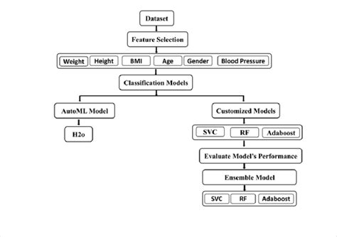 The Proposed Customized And Automl Models Download Scientific Diagram