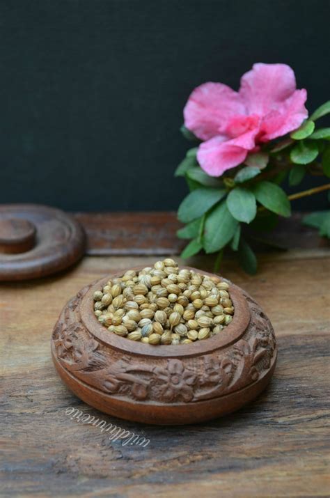 10 Top Medicinal Uses And Benefits Of Coriander Seeds Dhaniya