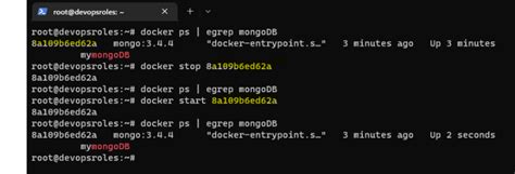 How To Deploy Mongodb As A Docker Container Better 2025