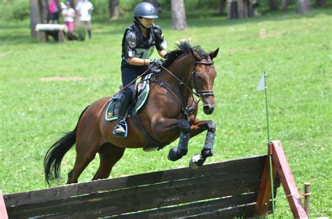 ジュニア総合2日目クロスカントリーレポート 公益社団法人 日本馬術連盟 Japan Equestrian Federation