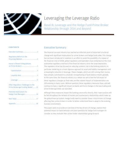 FREE 6 Leverage Ratio Samples Templates In PDF