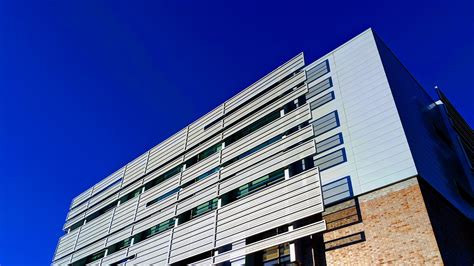 Unlocking Insights The Power Of Quantum Simulations In Scientific