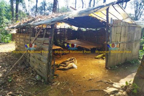 ရွှေဘိုမြို့နယ်၊ ရွာသစ်ကုန်းကျေးရွာ အနီး Pdf အကြမ်းဖက်စခန်းအား ရှင်းလင