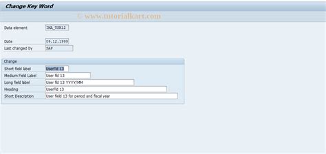 OITM SAP Tcode User Name For User Field