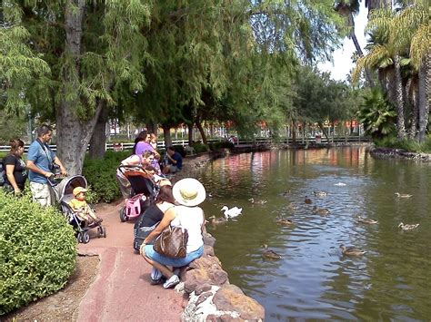 Behind Independence Hall Buena Park We Used To Feed Ducks And Chickens
