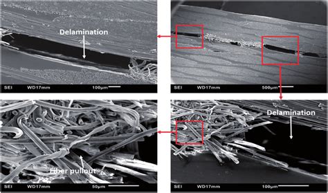 Typical Sem Micrographs Obtained For Failed Specimens Of Hrj 15881
