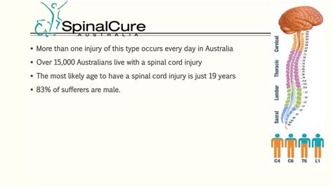 Spinal Fracture Pptx