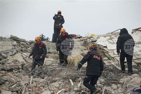 Белгия се включва в предоставянето на хуманитарна помощ за пострадалите от земетресенията в