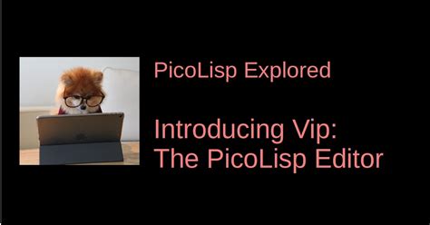 Introduction To Vip An Editor For Picolisp Development
