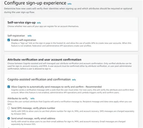 Securing Net Webapi With Amazon Cognito Serverless Authentication System Client Credentials