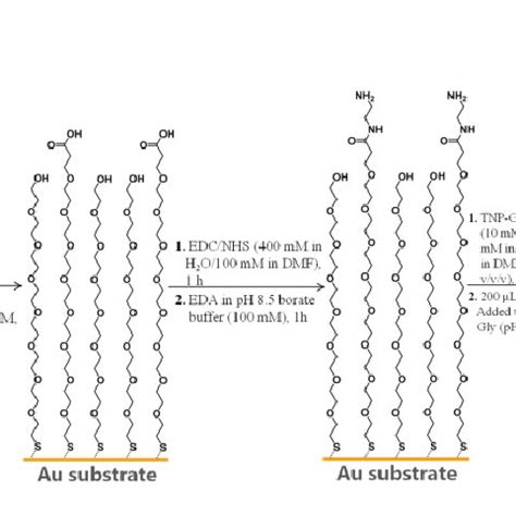 The Basic Principles And Synthesis Methods Of The SPR Sensor Chip Download Scientific Diagram