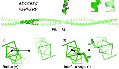 Sequence And Structural Features Of The Helical Coiled Coil A