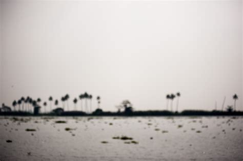 Kerala Ajay Dsouza