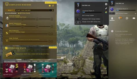 CSGO Ranks Everything You Need To Know About Digital Gamers Dream