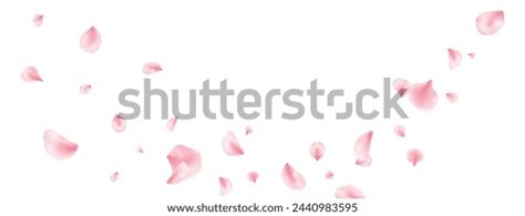 Sakura Flower Leaf Over 67 669 Royalty Free Licensable Stock