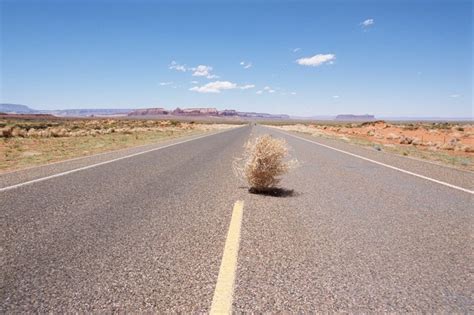 Создать мем перекати поле растение катится перекати поле дикий запад перекати поле в пустыне