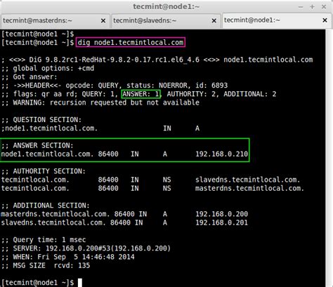 job related build a dns server in linux master and slave