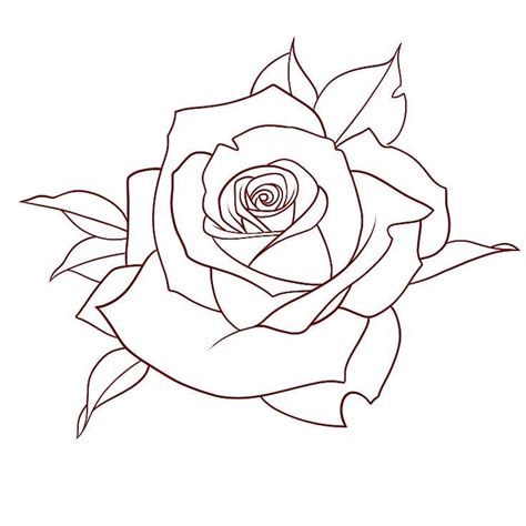 Rose Outline Drawing Tattoo