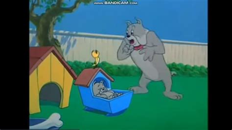 {ტომი და ჯერი წადი აღარ დამენახო წადი} Youtube