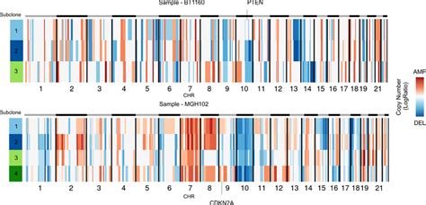 Tumor Suppressor Genes In The Clonal Substructure Compact Download Scientific Diagram