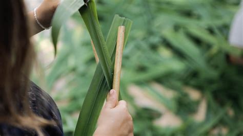 Zerosei Project Zerosei Project