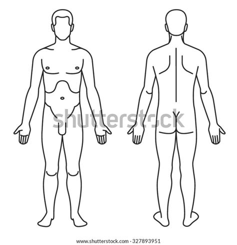 Man Body Anatomical Guide Naked Man เวกเตอรสตอก ปลอดคาลขสทธ