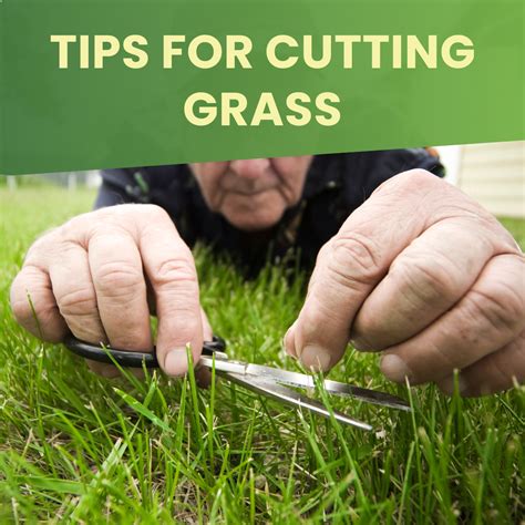 Grass Cutting Tips Uk At Lula Meyers Blog