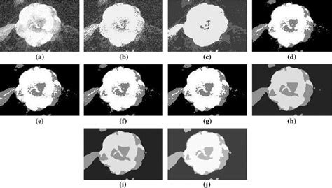 Segmentation Results Of The Second Natural Image A Noisy Image Download Scientific Diagram